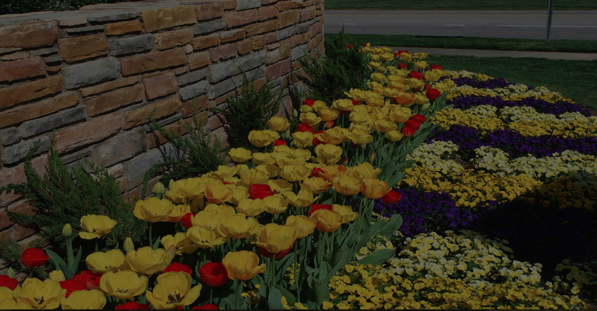 Lawn Management Services – Reliable. Honest. Professional.